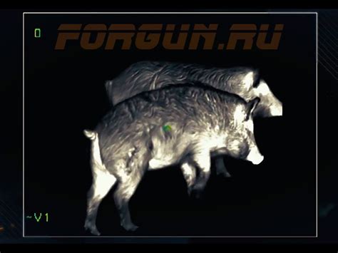 Тепловизионный прицел Fortuna General 50L3 (384х288, 3.7x)