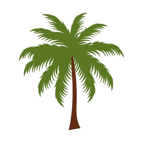 Premium Vector Coconut Tree Vector