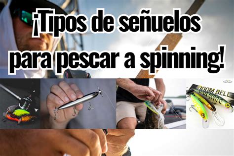 Tipos De Señuelos Para Pescar A Spinning Pro Pesca