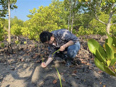 艾滴科技燒15億養蝦打出一片天！如何再拿廢水種植紅樹林，賺8億碳權？