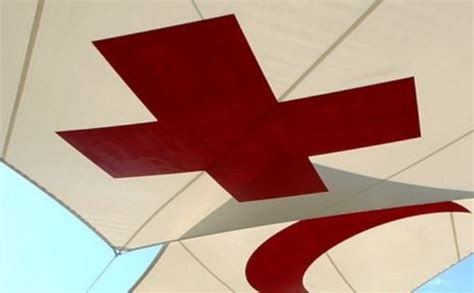 За последние сутки в Газе погибли 29 человек Mignews Новости