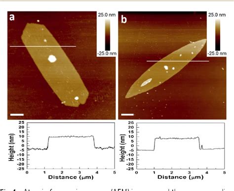 Figure 1 From One Step Formation Of Responsive Dumbbell Nanoparticle