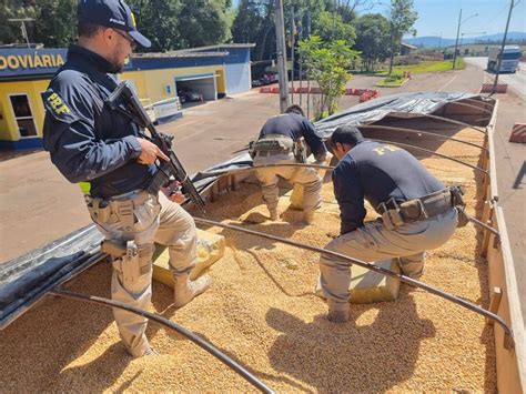 Prf Apreende 2 Toneladas De Maconha Em Lajeado Grupo A Hora