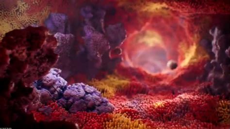 Expert Breaks Down Connection Between Gut Health And Biodiversity