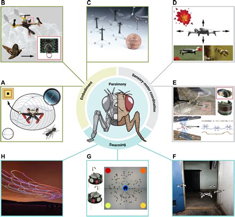 Insect Inspired Ai For Autonomous Robots Science Robotics