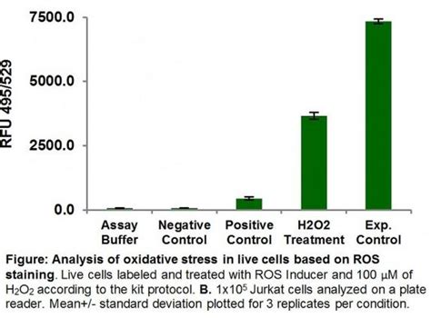 Reactive Oxygen Species Ros Detection Assay Kit Ab287839k936 250