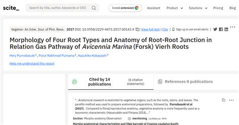 Morphology Of Four Root Types And Anatomy Of Root Root Junction In Relation Gas Pathway Of
