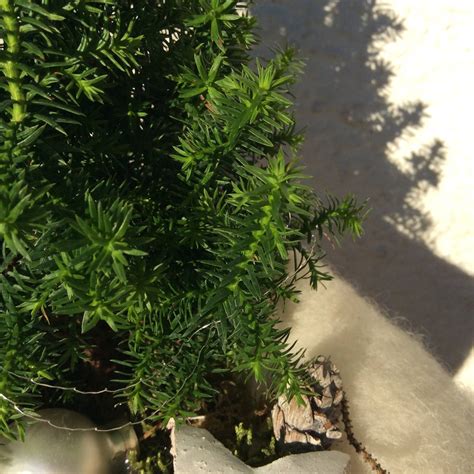 2104 Uefi Boot Fails Could Not Create Moklistxrt Out Of Resources