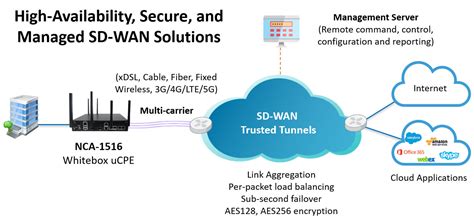 Enabling High Availability Secure And Managed Sd Wan Solutions