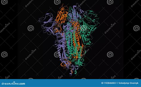 Homotrimer Cartoons Illustrations And Vector Stock Images 42 Pictures