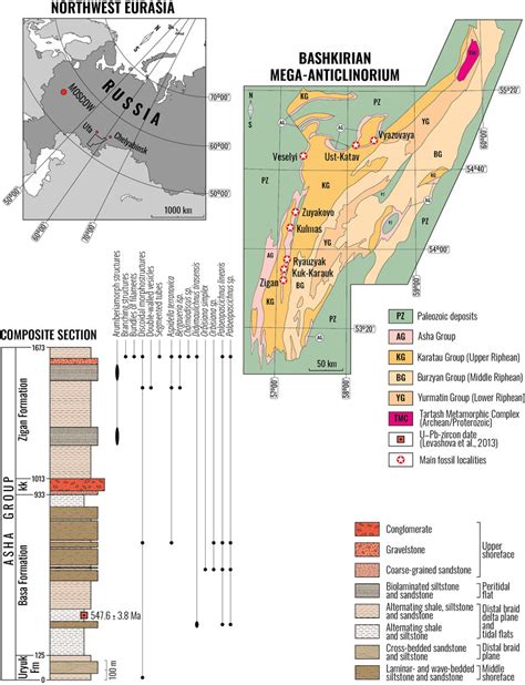 —distribution Of Ediacaran Macrofossils And New Stratigraphic Level Of