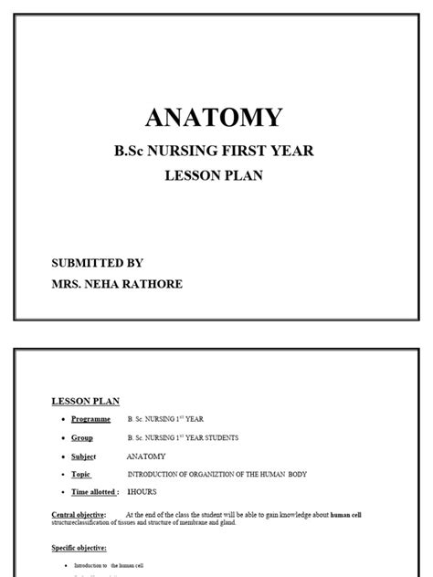 Lesson Plan Antomy 1 Pdf Stomach Heart
