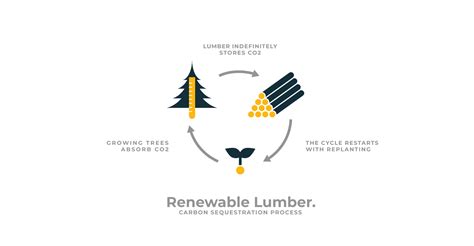 Sustainable Home Design Renewable Lumber