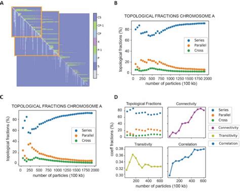 Circuit Topology Analysis Of A Chromosome Circuit Topology Analysis Of