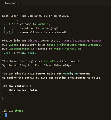 Terminal Always Starts With Root Directory Rather Than Opened Project