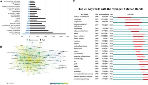 A The Top 20 Author Keywords With The Highest Frequency B The Overlay