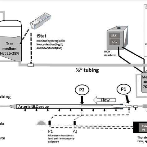 Shows The Mock Loop For Flow Tests Of Return Arterial Cannulae Used Download Scientific