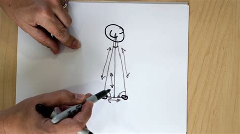 Phase Vs Contrast Autofocus Systems On Cameras Picturecorrect