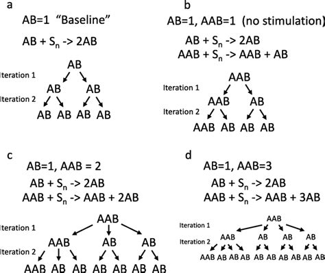 Model 1 For Stimulatory Effect Of Free A Subunits A Ab 1 Baseline Download Scientific