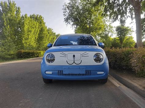 Gwm Ora Car Price Guangcaiauto