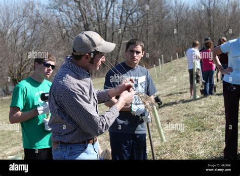 An Nrcs District Conservationist Demonstrates Tree Planting Techniques