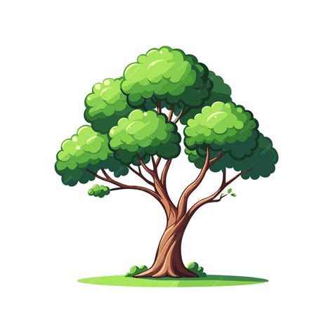 Premium Vector Cartoon Tree Vector Illustration