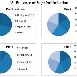 The Causal Pie Modelrole Of H Pylori In Gastric Carcinogenesis H