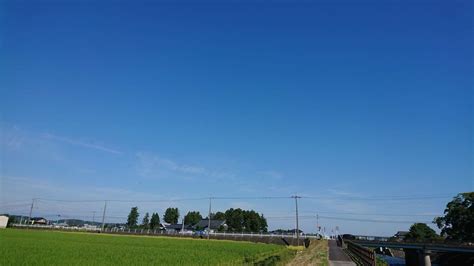 生きづらさを解消するには問題にうまく対処する技術を学ぼう！とちぎ心のみちしるべへようこそ！ ブログ 栃木のカウンセリングはとちぎ心のみちしるべ