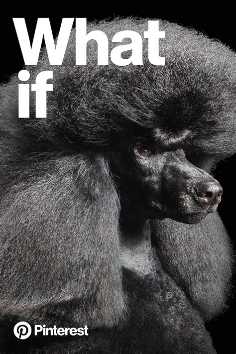 Pinterest Just Launched Its First Major Ad Campaign Fast Company