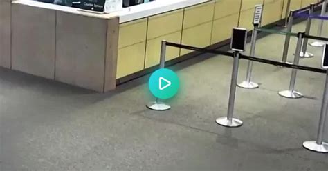 Prompt Album On Imgur