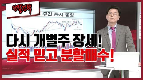 단칼전략 다시 개별주 장세 실적을 믿고 분할매수 머니투데이방송 증시 증권 Youtube
