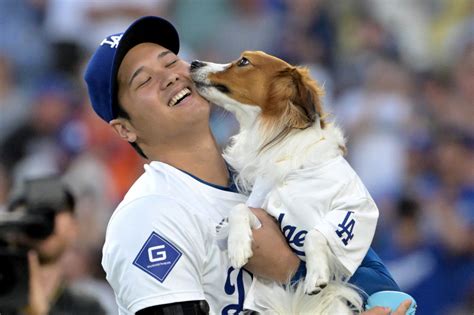 【mlb】大谷翔平 获选 9 月份月度 Mvp，生涯第 5 次获此荣誉 纽实报报