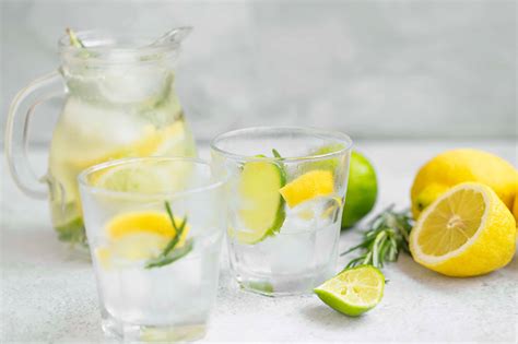 라임 레몬 로즈마리 허브를 곁들인 레모네이드 주스 신선한 여름 얼음 음료 디톡스 Ifused 물 레몬 라임 주스 슬라이스와 얼음