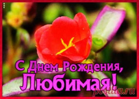 Мерцающая открытка с днем рождения любимой красивая анимационная от