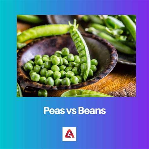 Peas Vs Beans Difference And Comparison