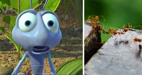 live action a bug s life on disney here s what to know disney