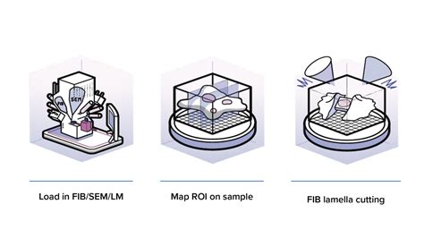 Using Integrated Fluorescence Light Microscopy To Improve The Cryo Electron Tomography Workflow