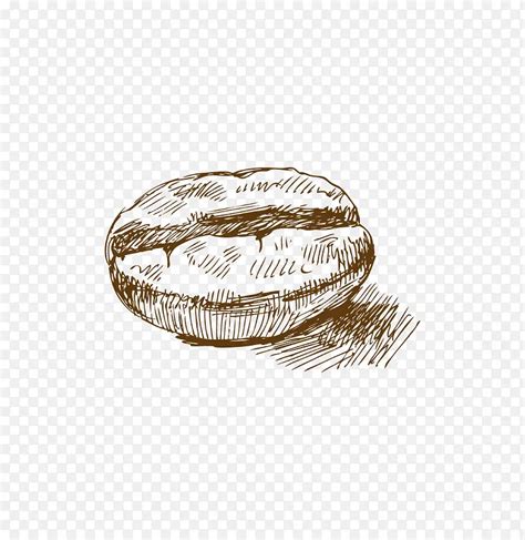 手绘棕色咖啡豆素描PNG图片素材下载 图片编号8450394 PNG素材网