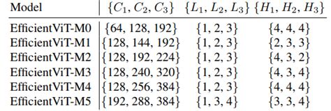 Efficientvit Memory Efficient Vision Transformer For High Resolution Computer Vision Ai
