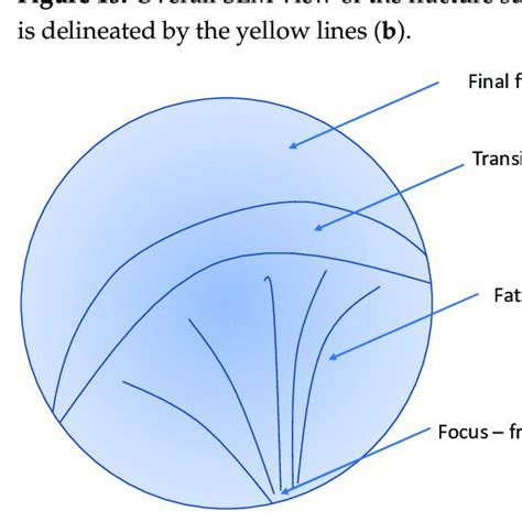 Schematic Drawing Of The Fracture Surface Showing The Observed Zones