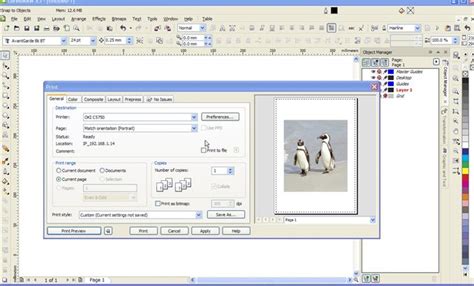 Print Preview Is Greyed Out Coreldraw X5 Coreldraw Graphics Suite X5 Coreldraw Community