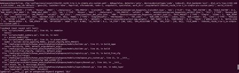 Bug In Resnet Py Issue Mvig Sjtu Alphapose Github