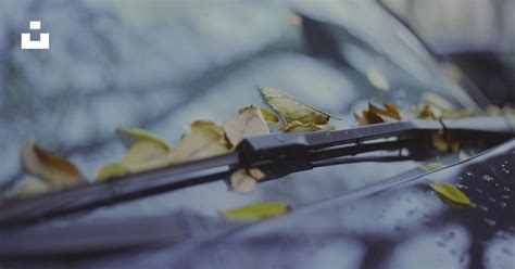 A Pair Of Scissors Cutting Through Leaves On The Windshield Of A Car Photo Free Film