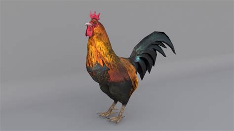 Rooster 3d Model Turbosquid 1316804