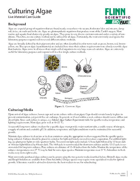 Culturing Algae Flinn Scientific