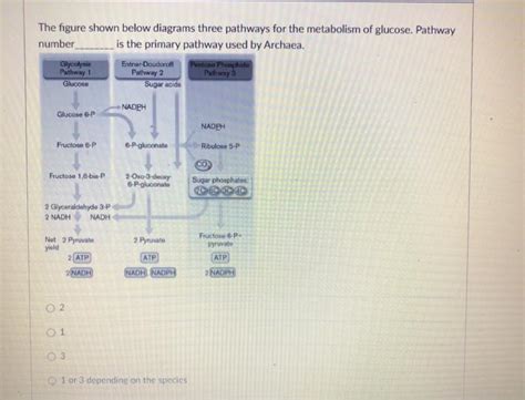 Solved The Figure Shown Below Diagrams Three Pathways For Chegg