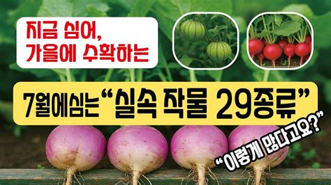 7월에 심는 실속 작물 29가지 지금심어 가을에 수확하는 여름 채소 추천 Youtube