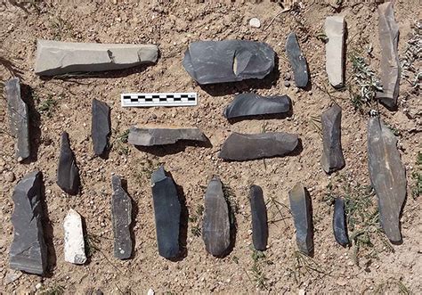 Homo Sapien Tools And Weapons