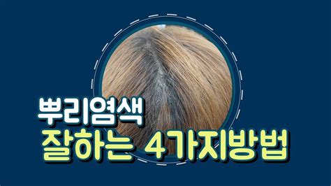 뿌리염색 완전 잘하는 4가지 방법 뿌리염색 잘하기 뿌리염색 가장쉬운 염색교육 뿌염방법 Youtube