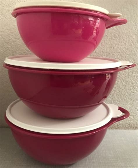 Maximilian Set Tupperware Neu Gemäss Beschreibung In Winkel Für
